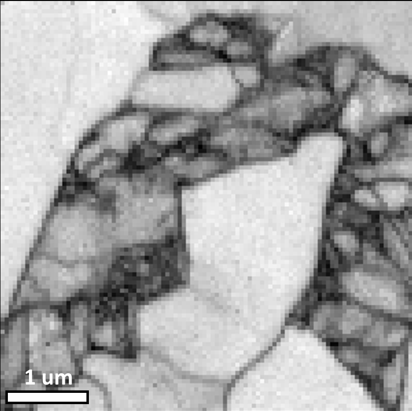 Optimising SEM Condition | EBSD Hints & Tips - 牛津仪器 Optimising SEM Condition | EBSD Hints & Tips - 牛津仪器